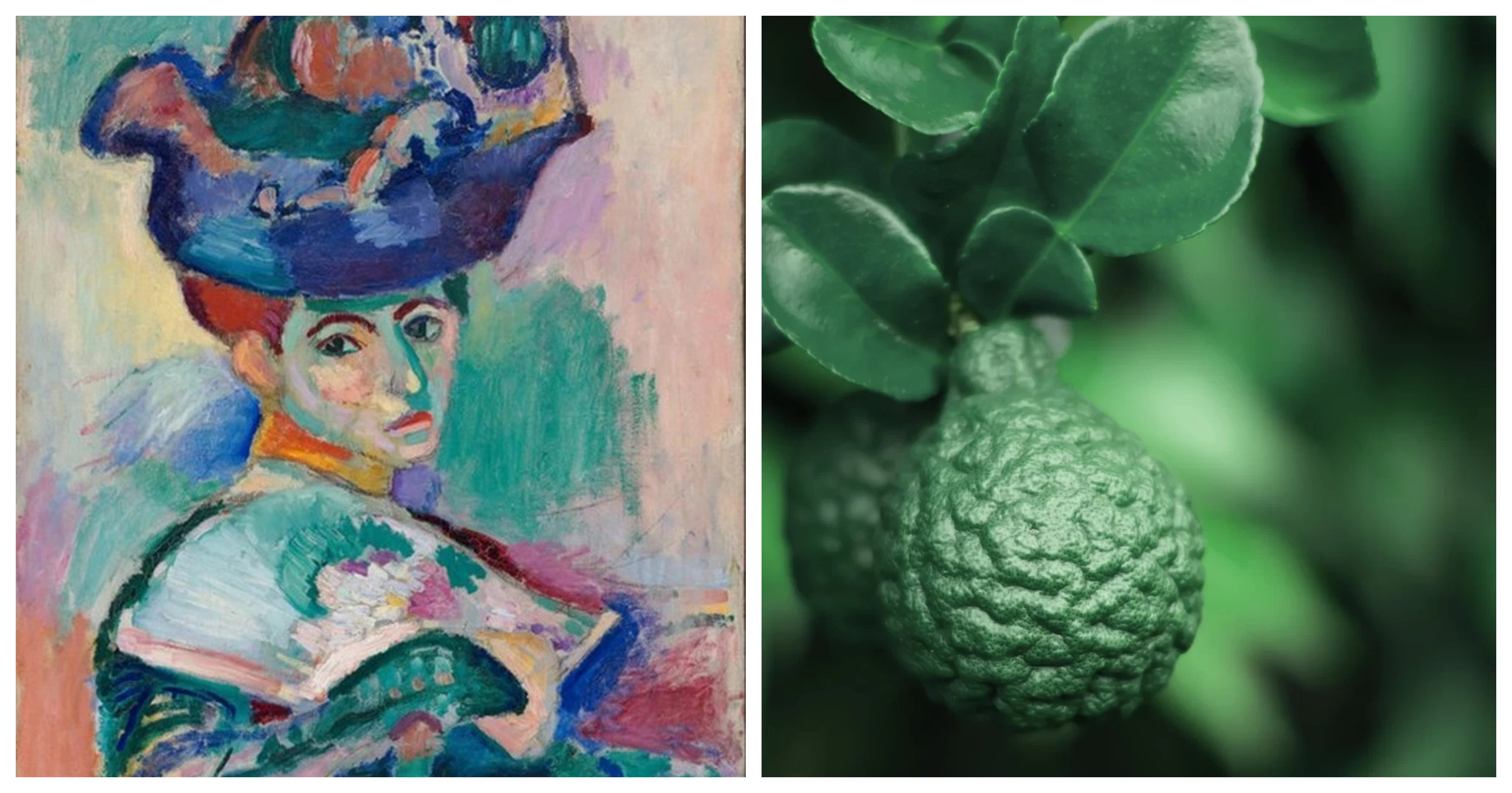 BeautyWorld Middle East 2022: A Symrise Exclusive Collection by Maurice Roucel ~ Fragrance News