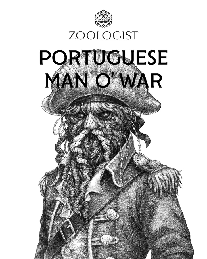 Zoologist Perfumes: Portuguese Man O' War ~ Recenzii de parfumuri
