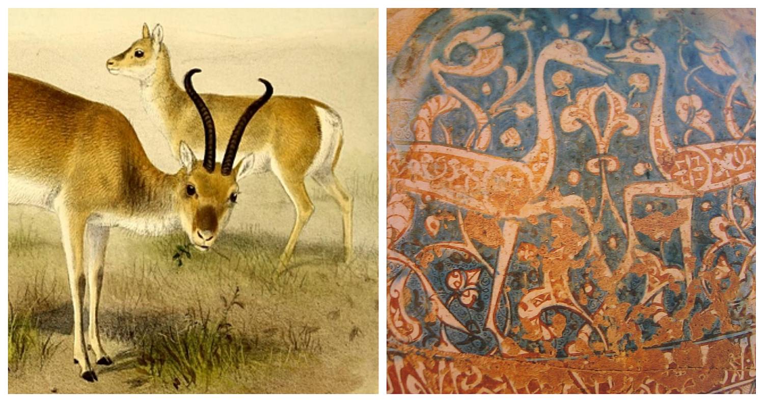 Impala Czar Perfumes: Breathe The Steppe Air ~ Fragrance Reviews