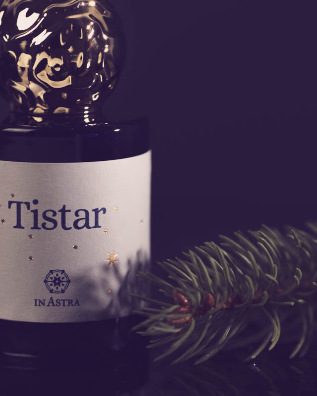 A Warm Resinous Cuddle in the Winter Frost: Tistar, A New Creation from ...