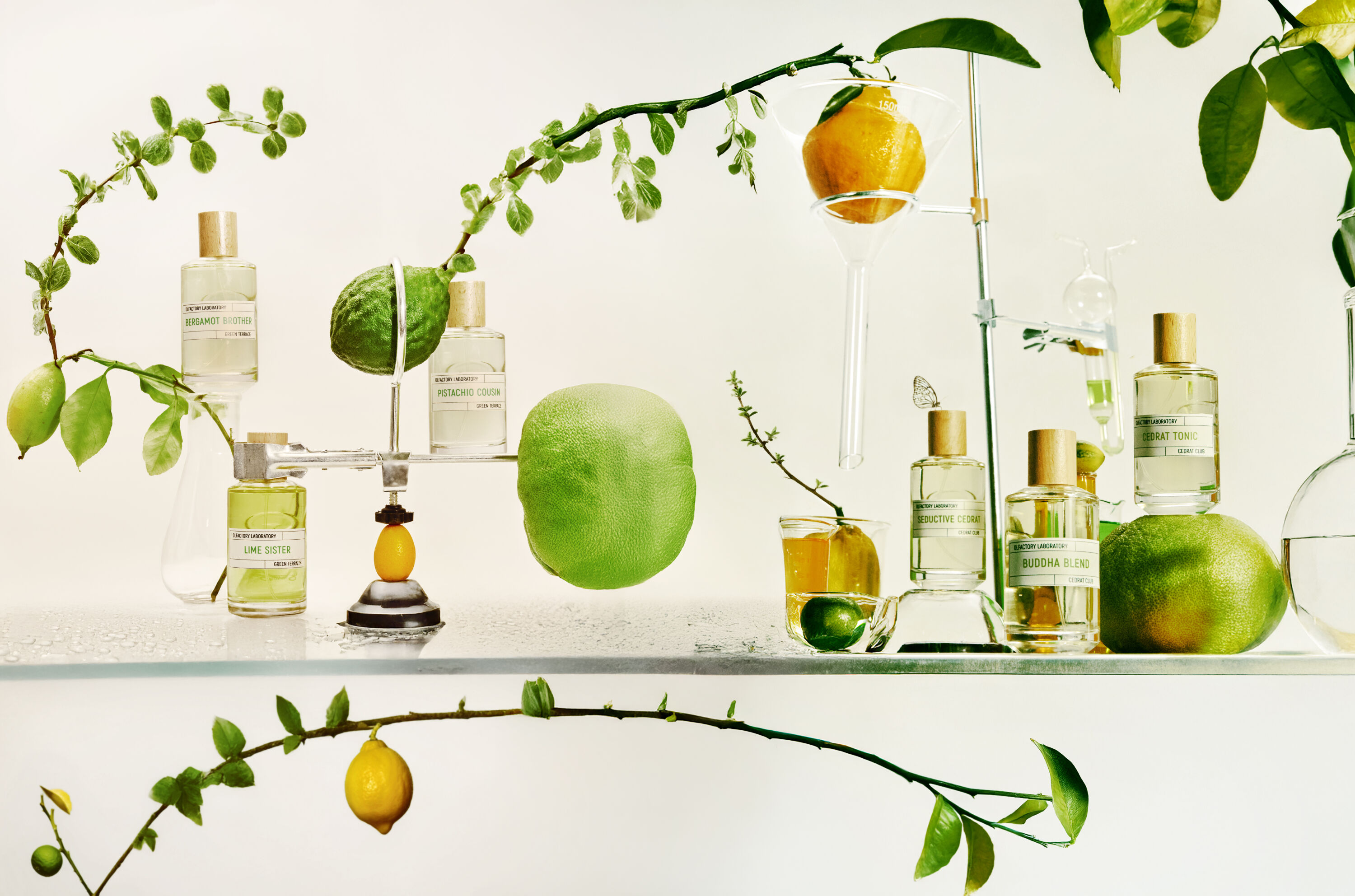 You Can Find Me in the Garden: Imaginarium by Liquides Imaginaires ...