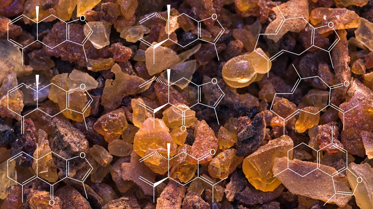 Myrrh – Bitter and Sweet, Vanilla and Mushroom ~ Raw Materials