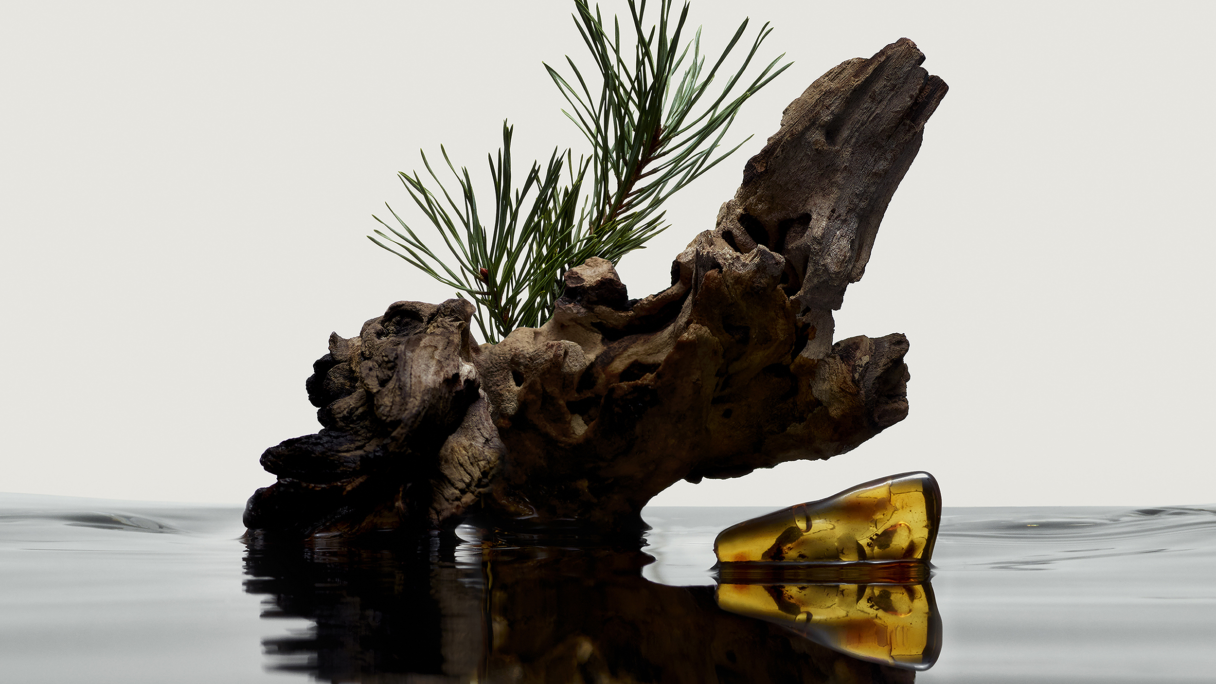 Burberry Hero Eau de Parfum: ADAM DRIVER Returns For The New Burberry ...