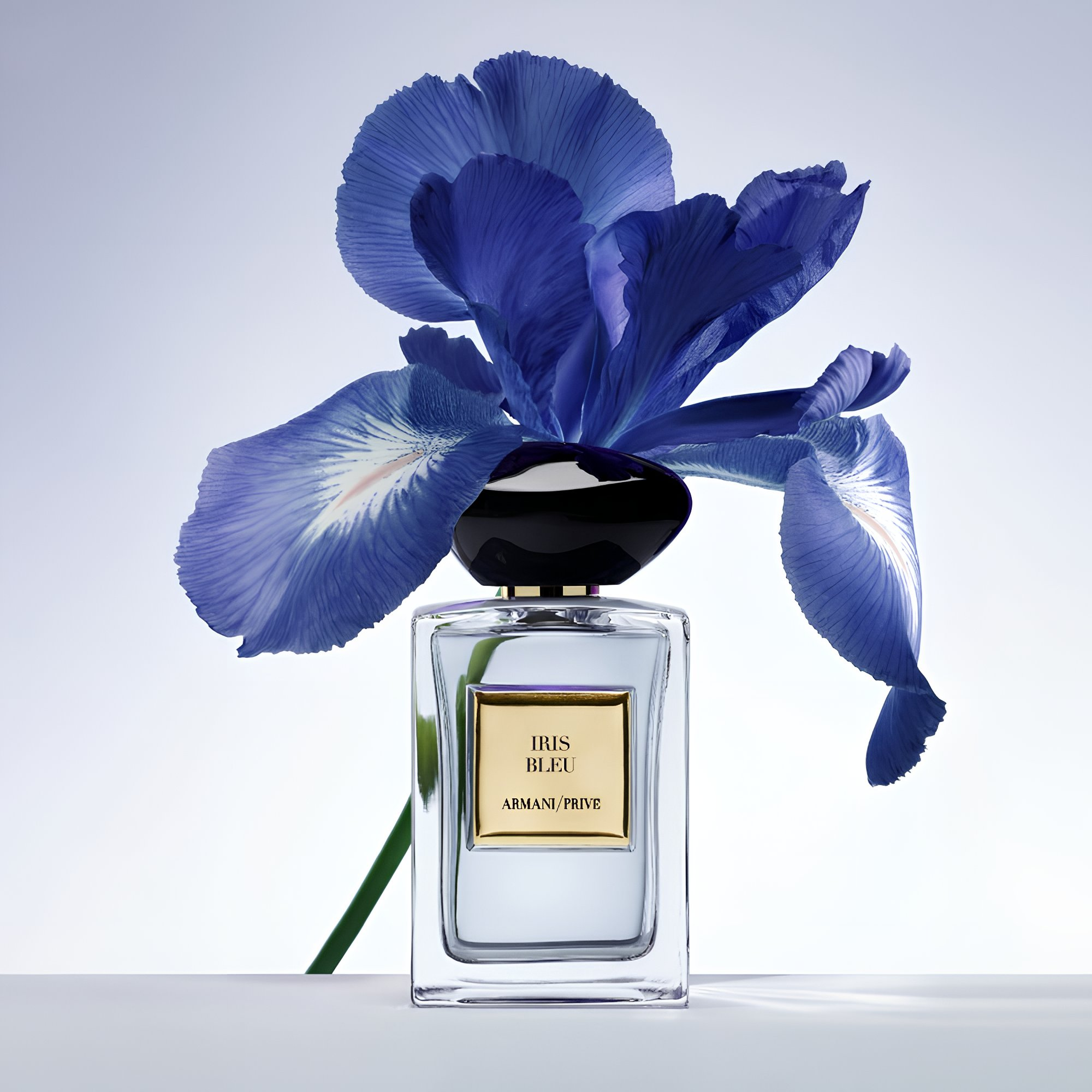 Iris Bleu by Giorgio Armani: The Scent of Early Spring ~ Fragrance Reviews