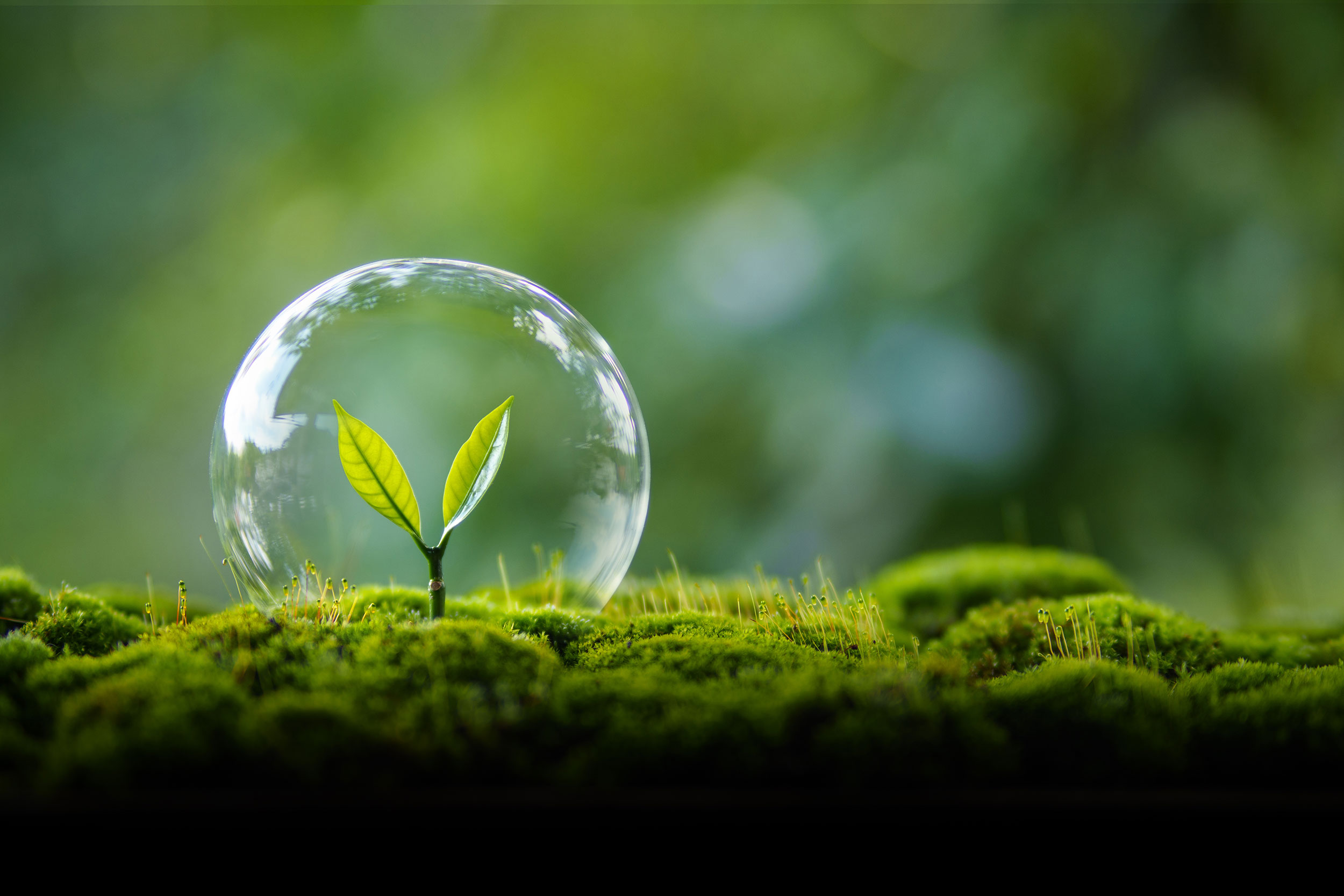 Green Fragrances: Because Green is (always) In! ~ Columns