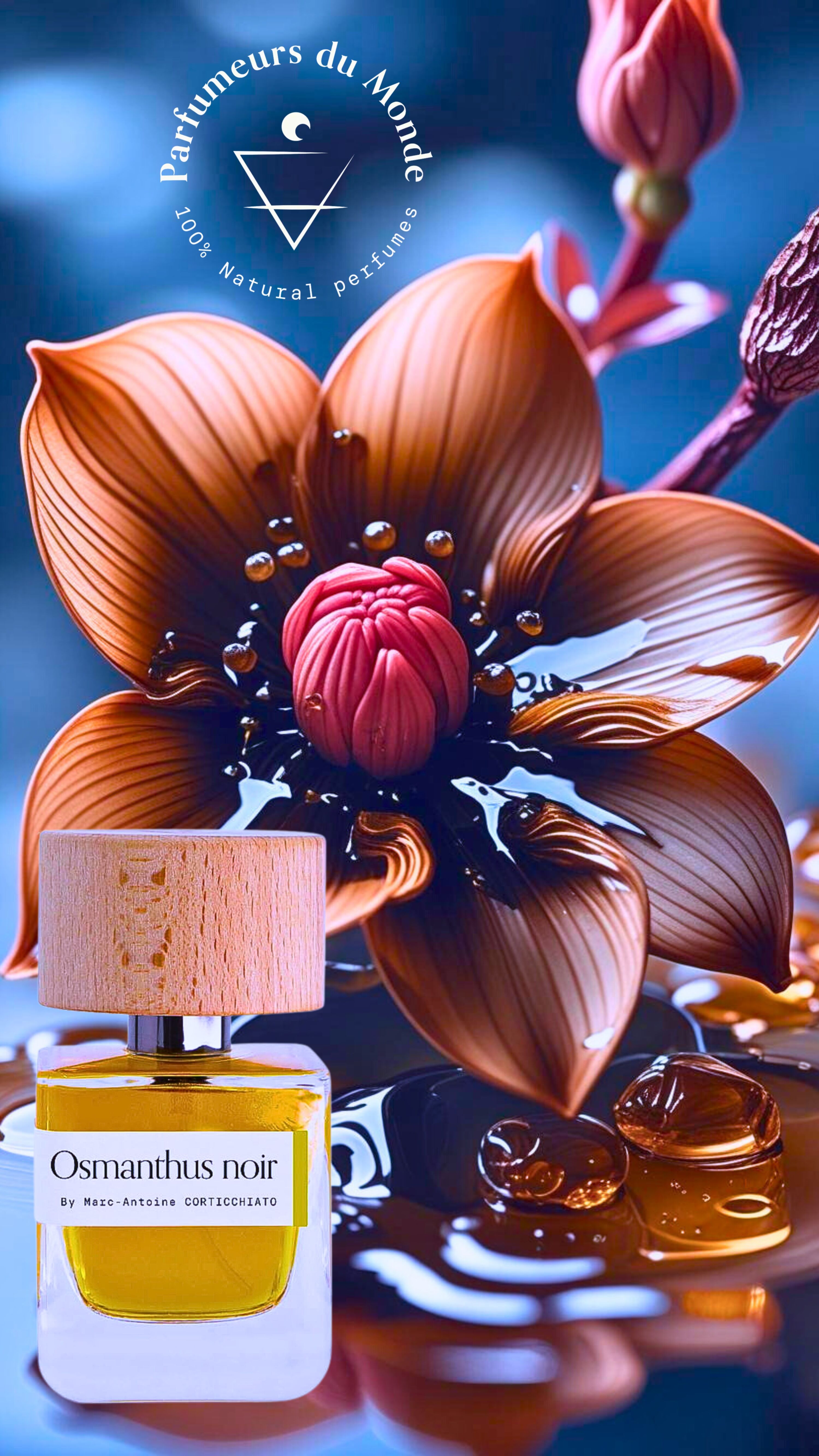 Osmanthus Noir: Marc-Antoine Corticchiato Explores the Dark Side of the ...