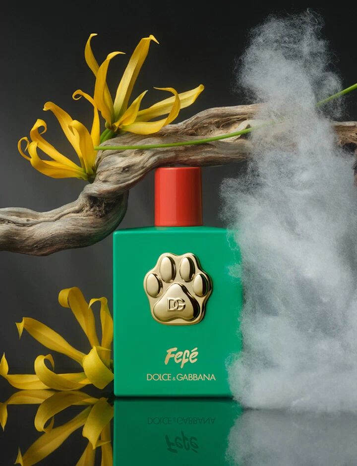 Resenha de Dolce&Gabbana Fefé ~ Avaliação de Fragrâncias