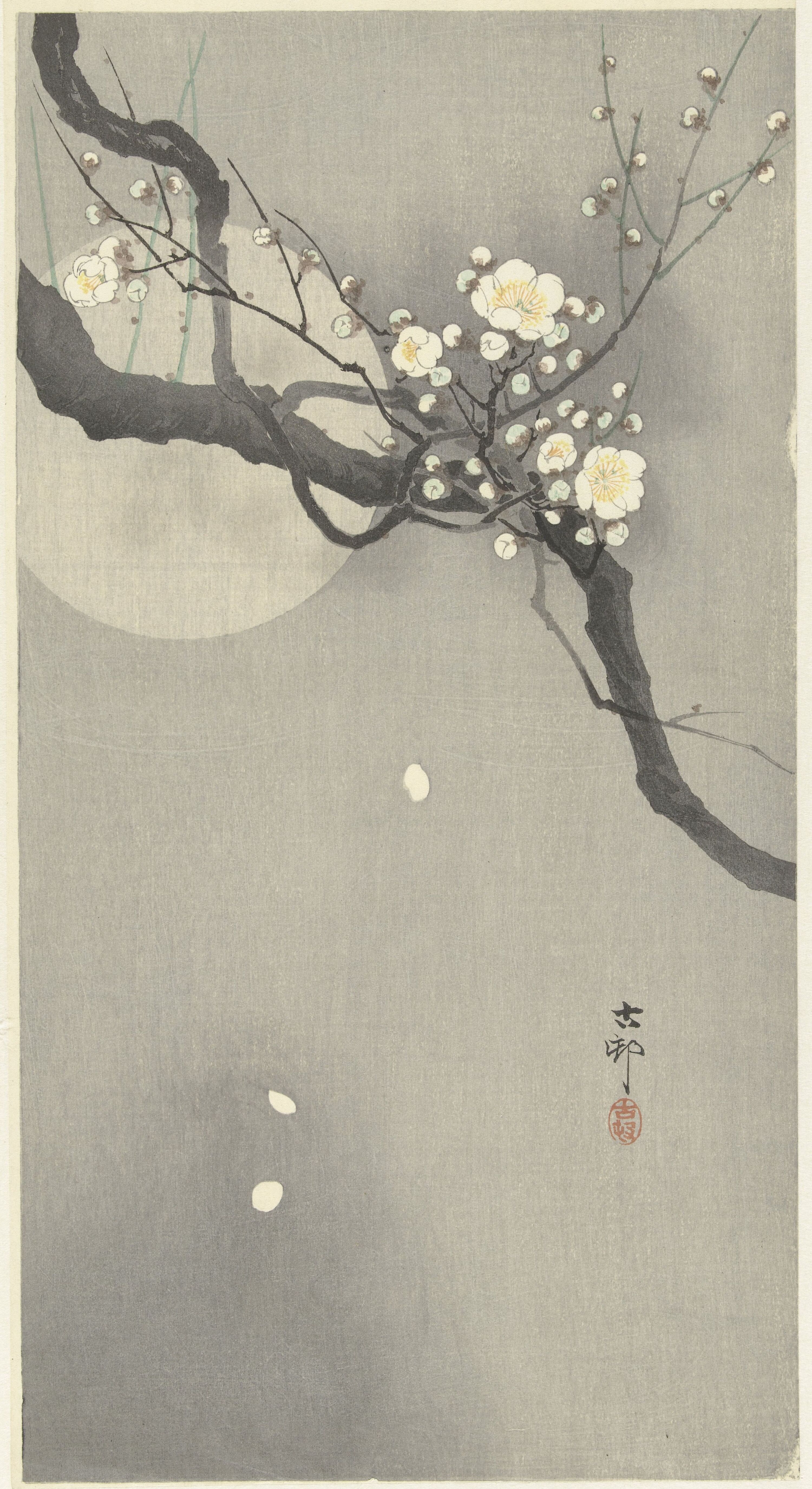 Habibi ByBozo: A Premonition of Spring ~ Fragrance Reviews