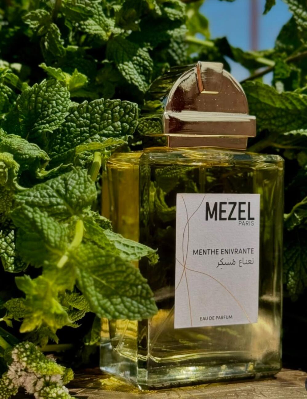 Mezel Paris: Ένα εξειδικευμένο εμπορικό σήμα με μαροκινές επιρροές ...