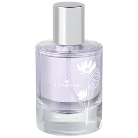 Floral Notes perfume ingredient, Floral Notes fragrance and essential oils