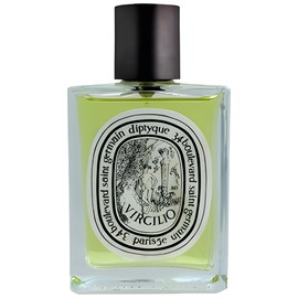 Basil perfume ingredient, Basil fragrance and essential oils Ocimum ...