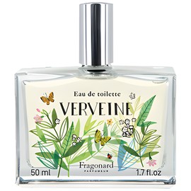 Lemon Verbena perfume ingredient, Lemon Verbena fragrance and essential ...