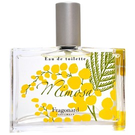 Mimosa Ingrédients de parfum, Mimosa Parfum et huiles essentielles ...
