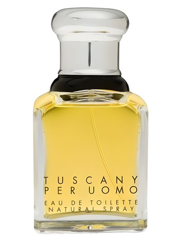 Tuscany Per Uomo Aramis cologne - a fragrance for men 1984