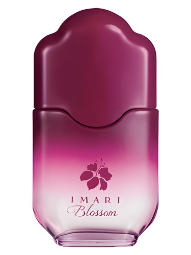 Imari Blossom Avon perfume - a fragrance for women 2013