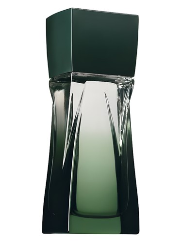 Avon Essence Avon cologne - a fragrance for men