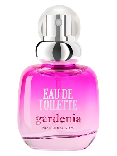 Gardenia H&M perfume - a fragrance for women 2013