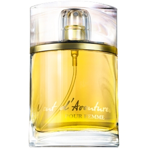 Vent d'Aventures Pour Femme Faberlic perfume - a fragrance for women