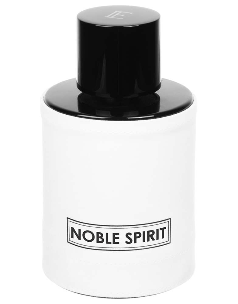 Noble Spirit Eternel Gentleman cologne - a new fragrance for men 2017