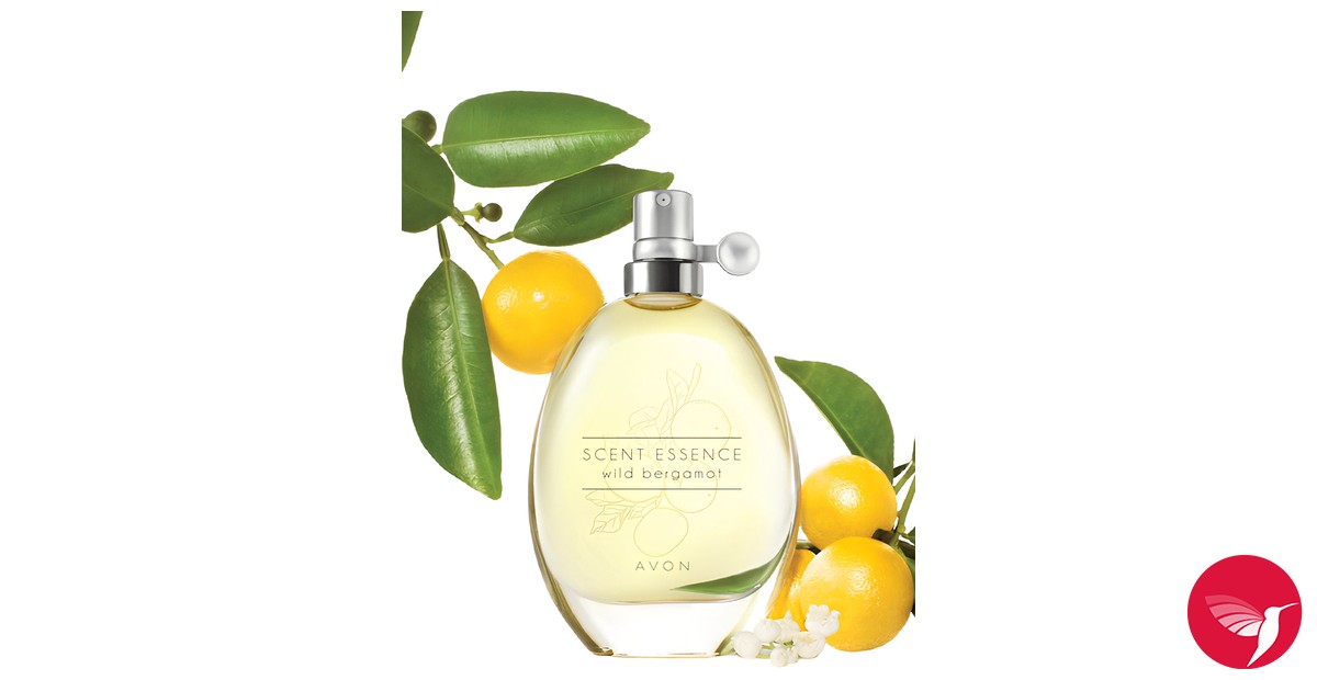 Scent Essence - Wild Bergamot Avon perfume - a new fragrance for women 2015