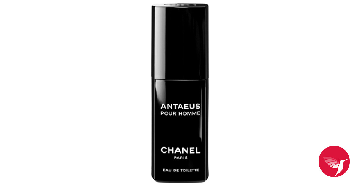 Antaeus Chanel cologne - a fragrance for men 1981