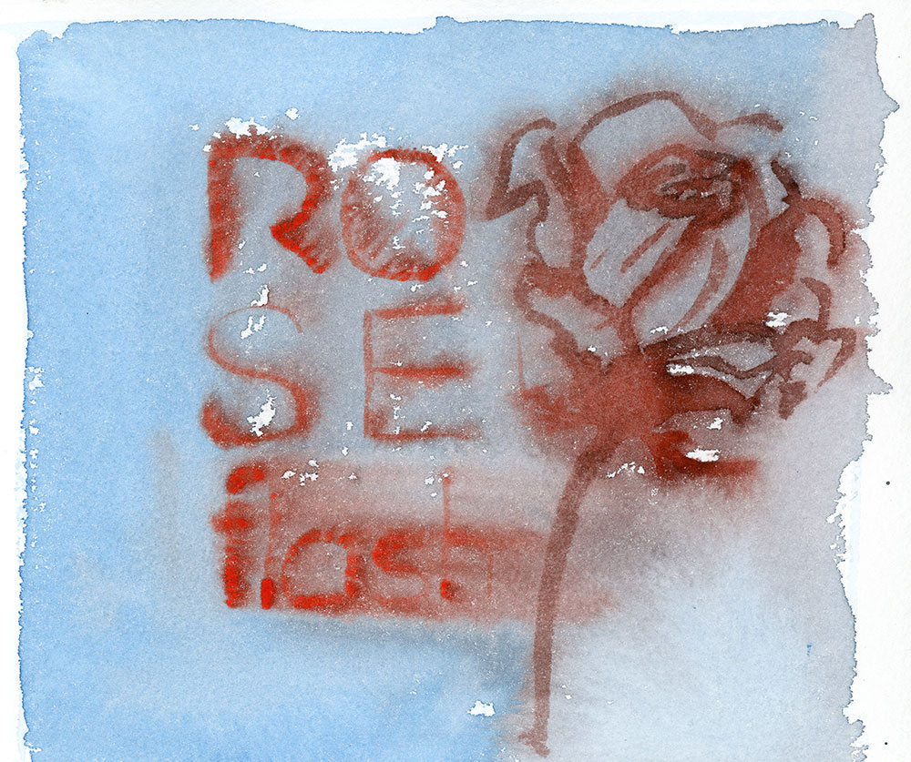 Rose Flash Tauerville perfume - a fragrance for women and men 2014