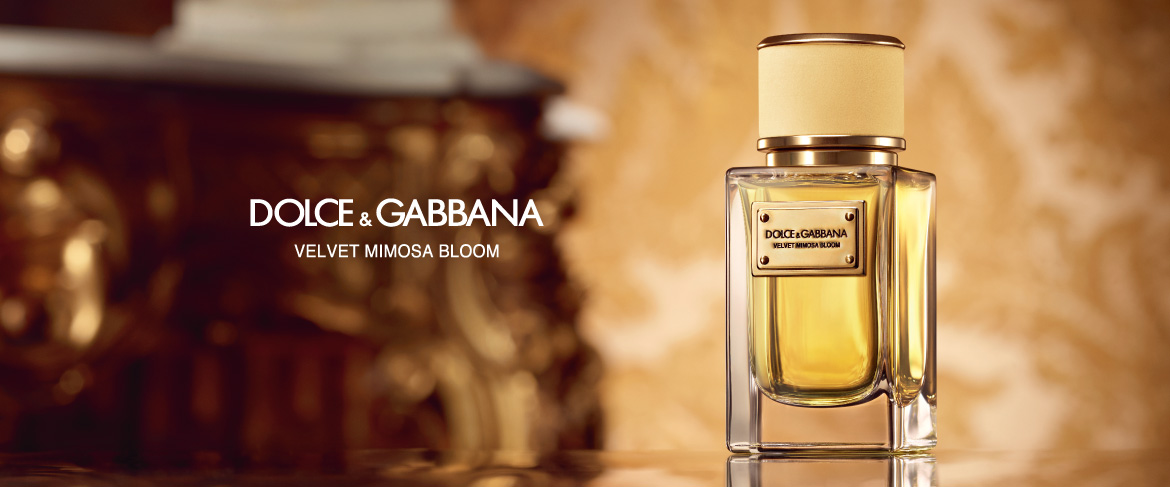 Velvet Mimosa Bloom Dolce&Gabbana perfume - una nuevo fragancia para ...