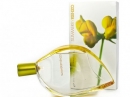 Summer by Kenzo Kenzo perfume - a fragrance for women 2005