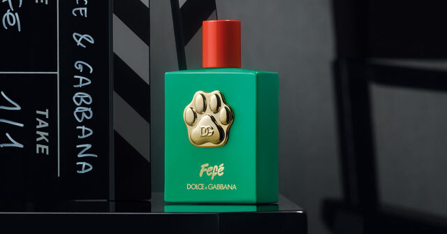 Fefé Dolce&Gabbana perfume - a new fragrance for women and men 2024