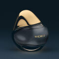 Retrospect Merit perfume - a new fragrance for women 2024