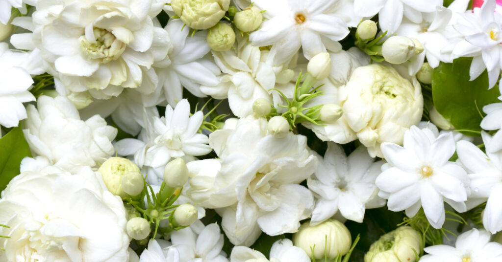 Perfumes and Colognes Magazine, Perfume Reviews and Online Community ...