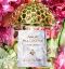Linen Musk Zara perfumy - to nowe perfumy dla kobiet 2024