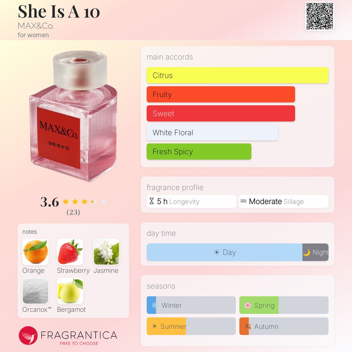 She Is A 10 MAX&Co. perfume - a new fragrance for women 2025