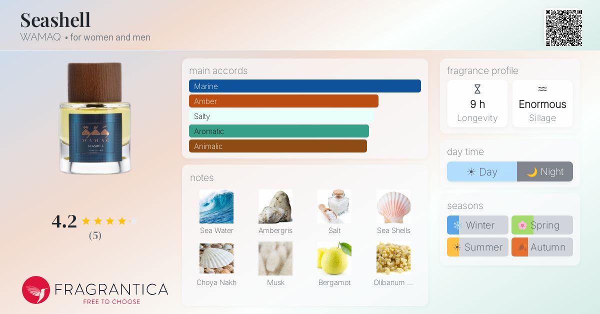 Seashell WAMAQ perfume - a new fragrance for women and men 2024