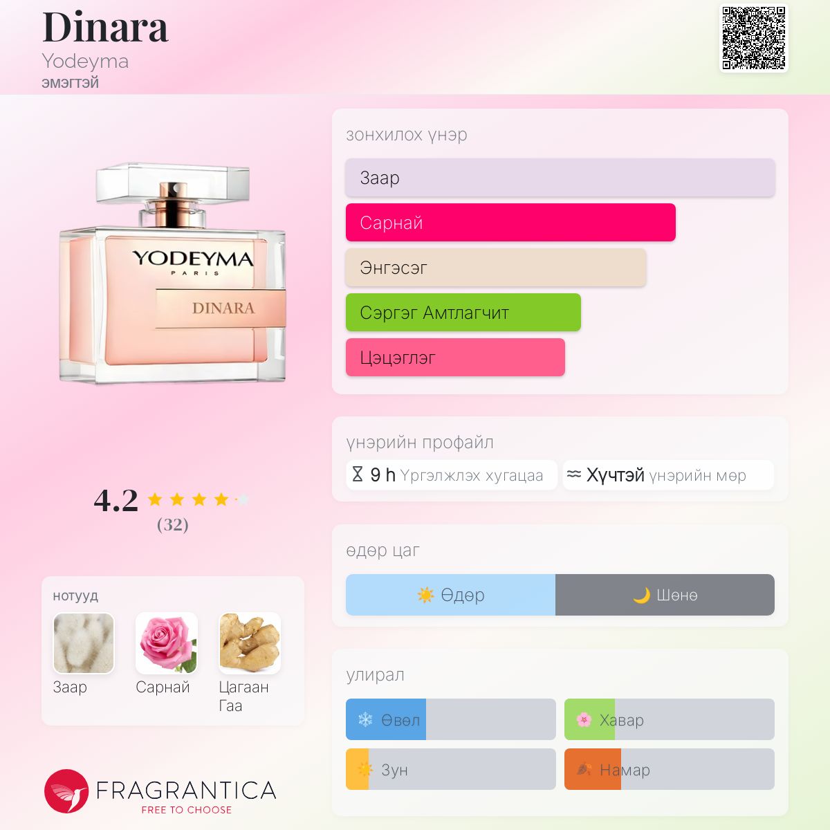 Dinara Yodeyma сүрчиг - a шинэ сүрчиг эмэгтэй 2024