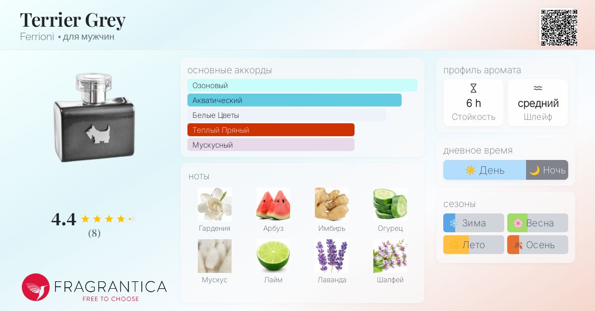 Terrier Grey Ferrioni одеколон — аромат для мужчин