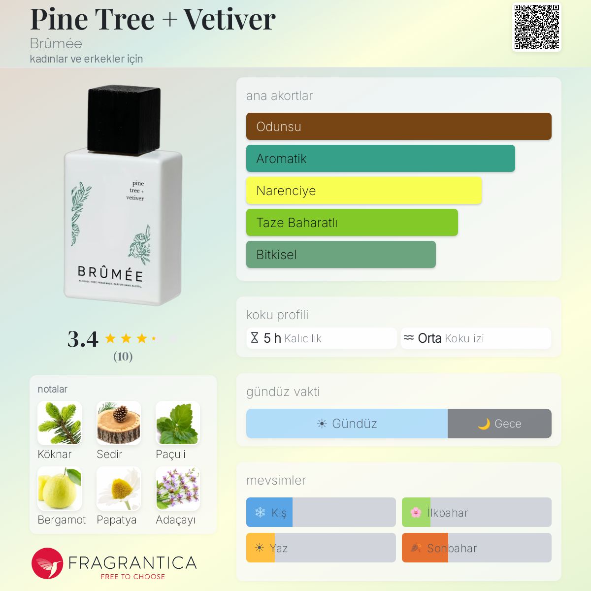 Pine Tree + Vetiver Brûmée parfüm - kadınlar ve erkekler için bir koku 2021