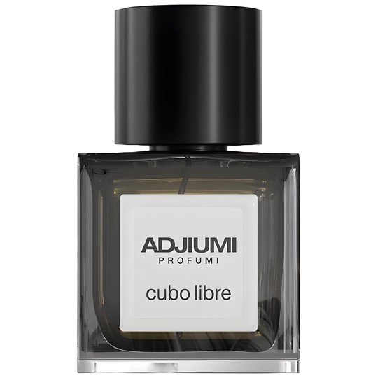 Coca-Cola perfume ingredient, Coca-Cola fragrance and essential oils