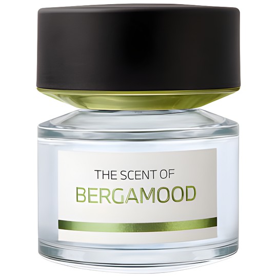 BMW Fragrances Perfumes And Colognes