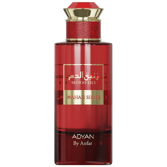 Adyan by Anfar Perfumes And Colognes