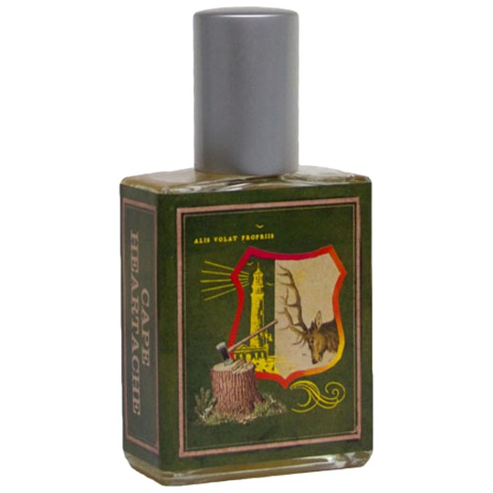 Pine Tree perfume ingredient, Pine Tree fragrance and essential oils ...