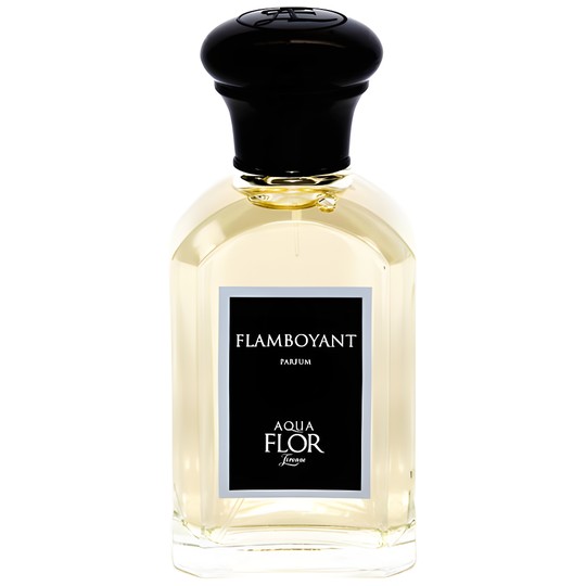 Aquaflor Firenze Perfumes And Colognes