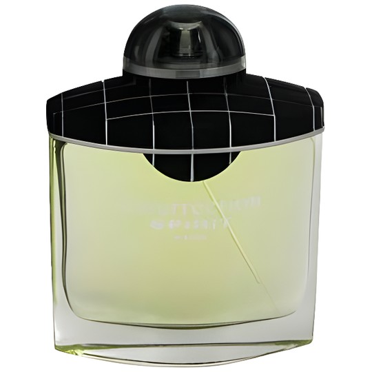 Reyane Tradition Perfumes And Colognes