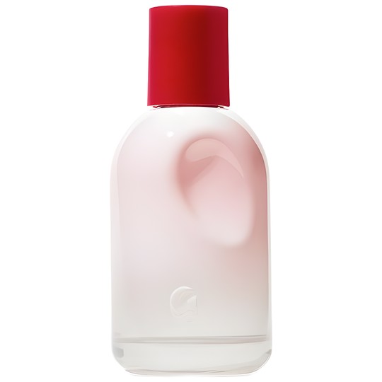 Pink Pepper perfume ingredient, Pink Pepper fragrance and essential ...
