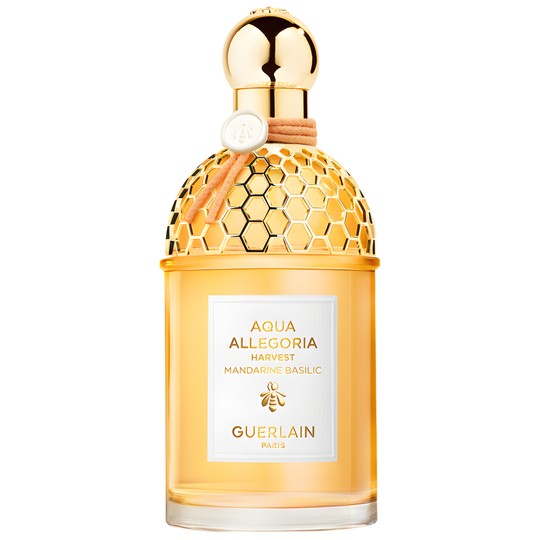 Basil perfume ingredient, Basil fragrance and essential oils Ocimum ...