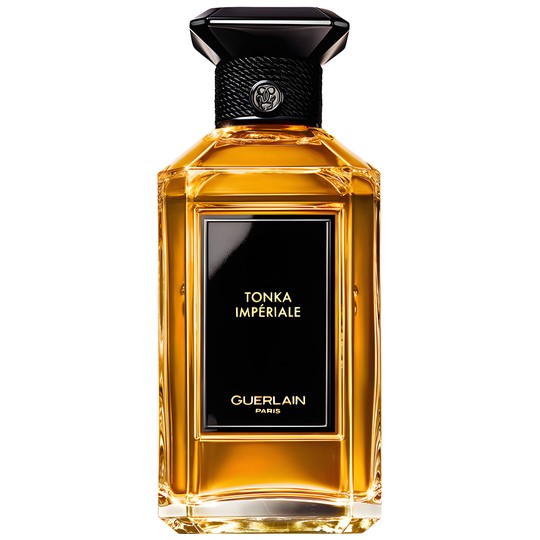 Tonka Bean perfume ingredient, Tonka Bean fragrance and essential oils ...