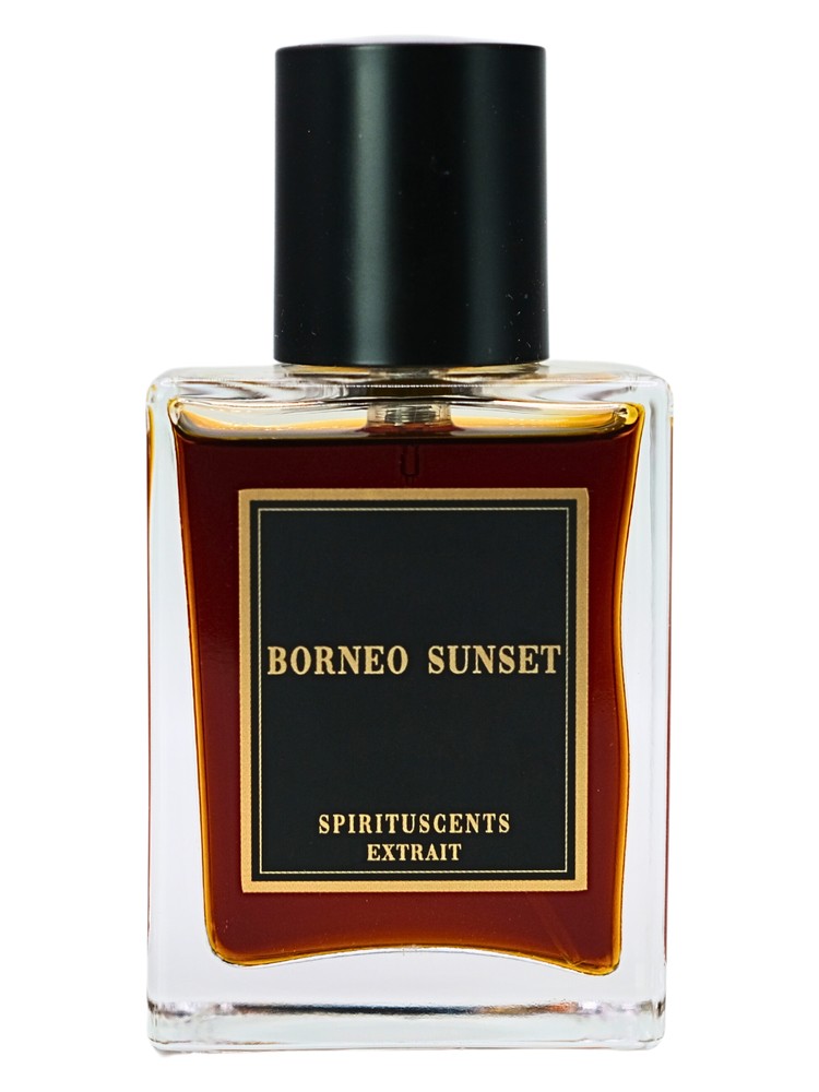 Borneo Sunset Spirituscents perfume - a fragrance for women and men 2023