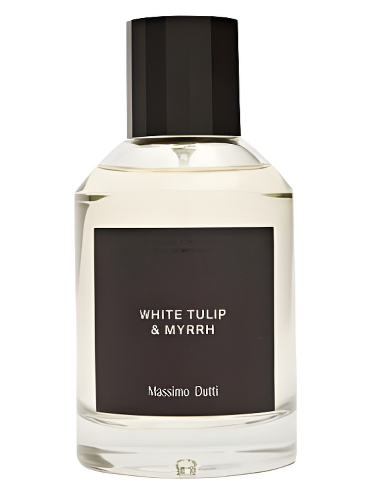 White Tulip & Myrrh Massimo Dutti perfume - a new fragrance for women ...