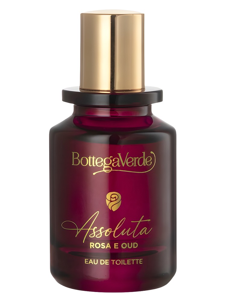Assoluta Rosa e Oud Bottega Verde perfume - a new fragrance for women 2024