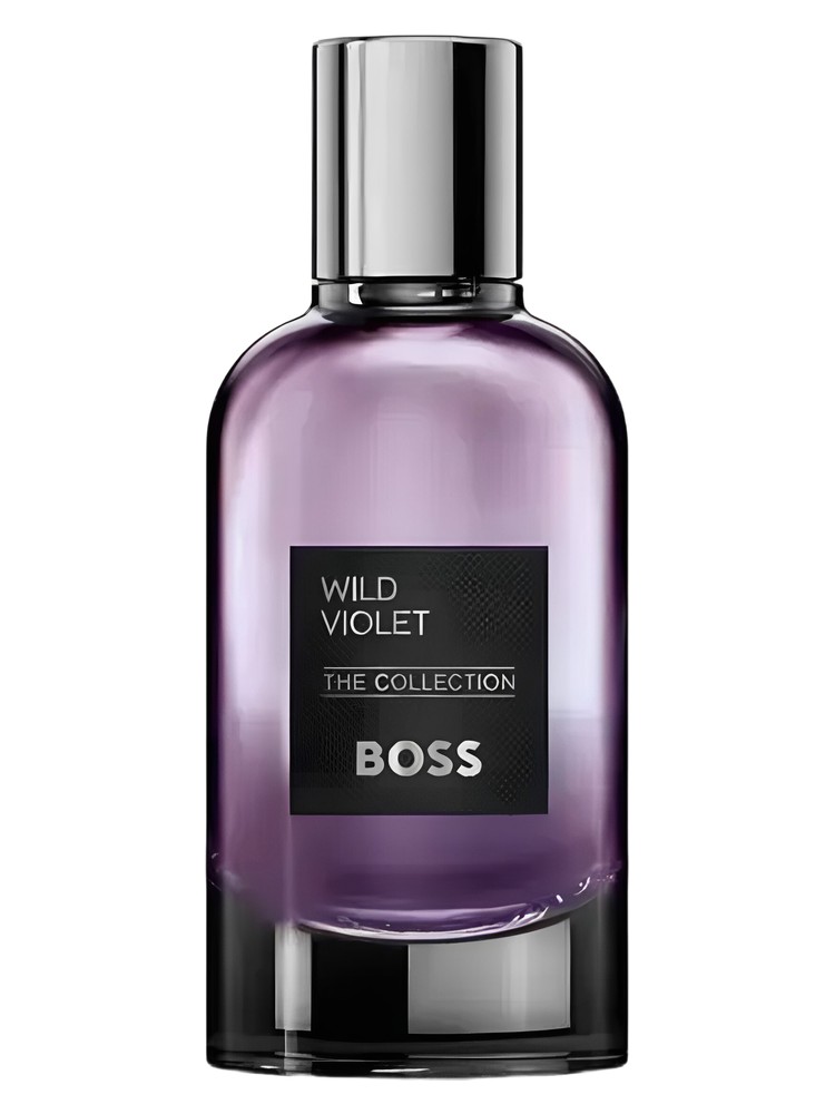 The Collection Wild Violet Hugo Boss perfume - a new fragrance for ...